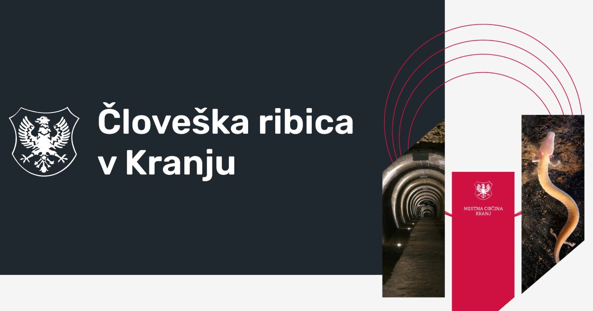 Človeška ribica v Kranju